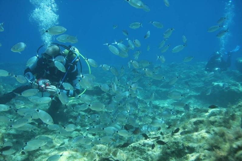 Paphos Dive Centre, Cyprus