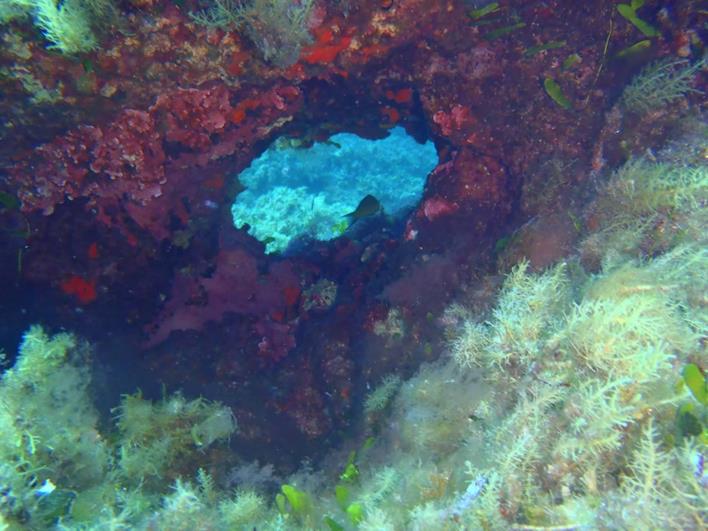 Paphos Dive Centre, Cyprus