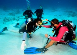 Dominica Annual Dive Fest 2016 for Divers