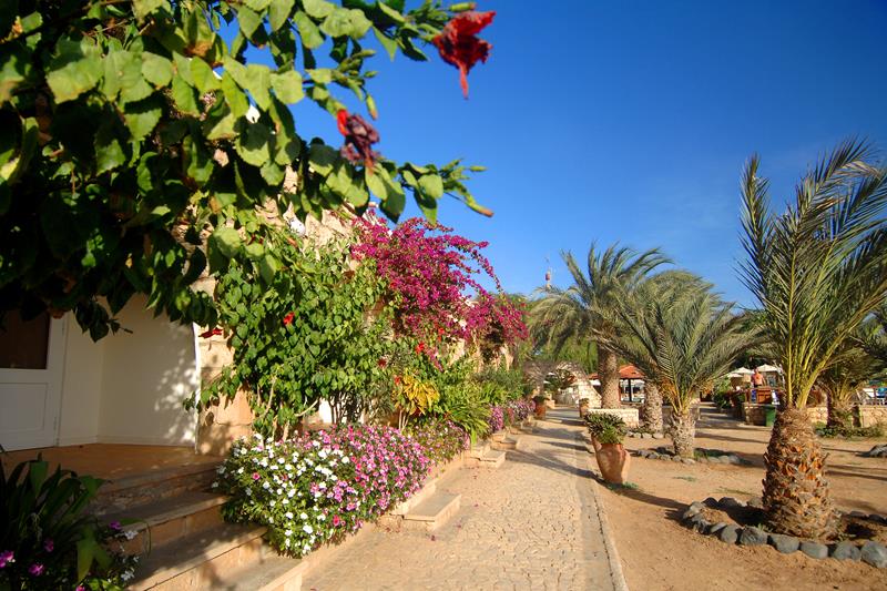 Hotel Morabeza, Sal - Cape Verde Islands | Diving Holiday